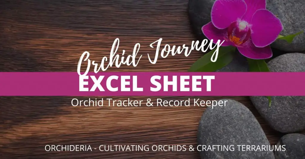 Free Excel Spreadsheet Orchid Tracker — Orchideria