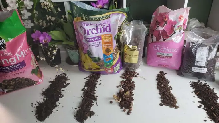 Orchid Potting Mix: The Right and Wrong Medium – Orchideria