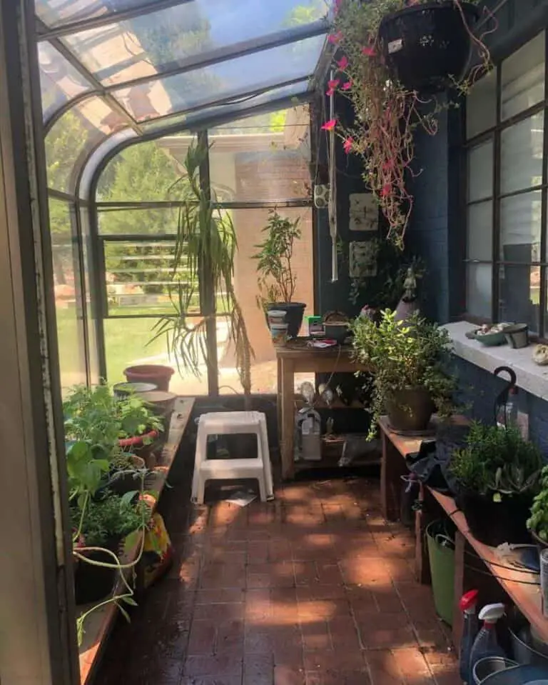 Building an Orchid Greenhouse: Layout – Orchideria